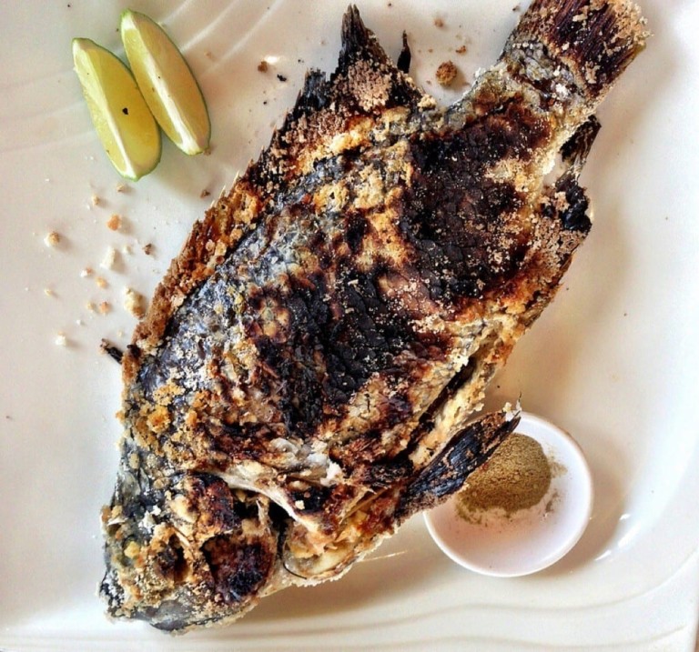 No I Still Don’t Like Fish or Seafood - What I Wish People Understood