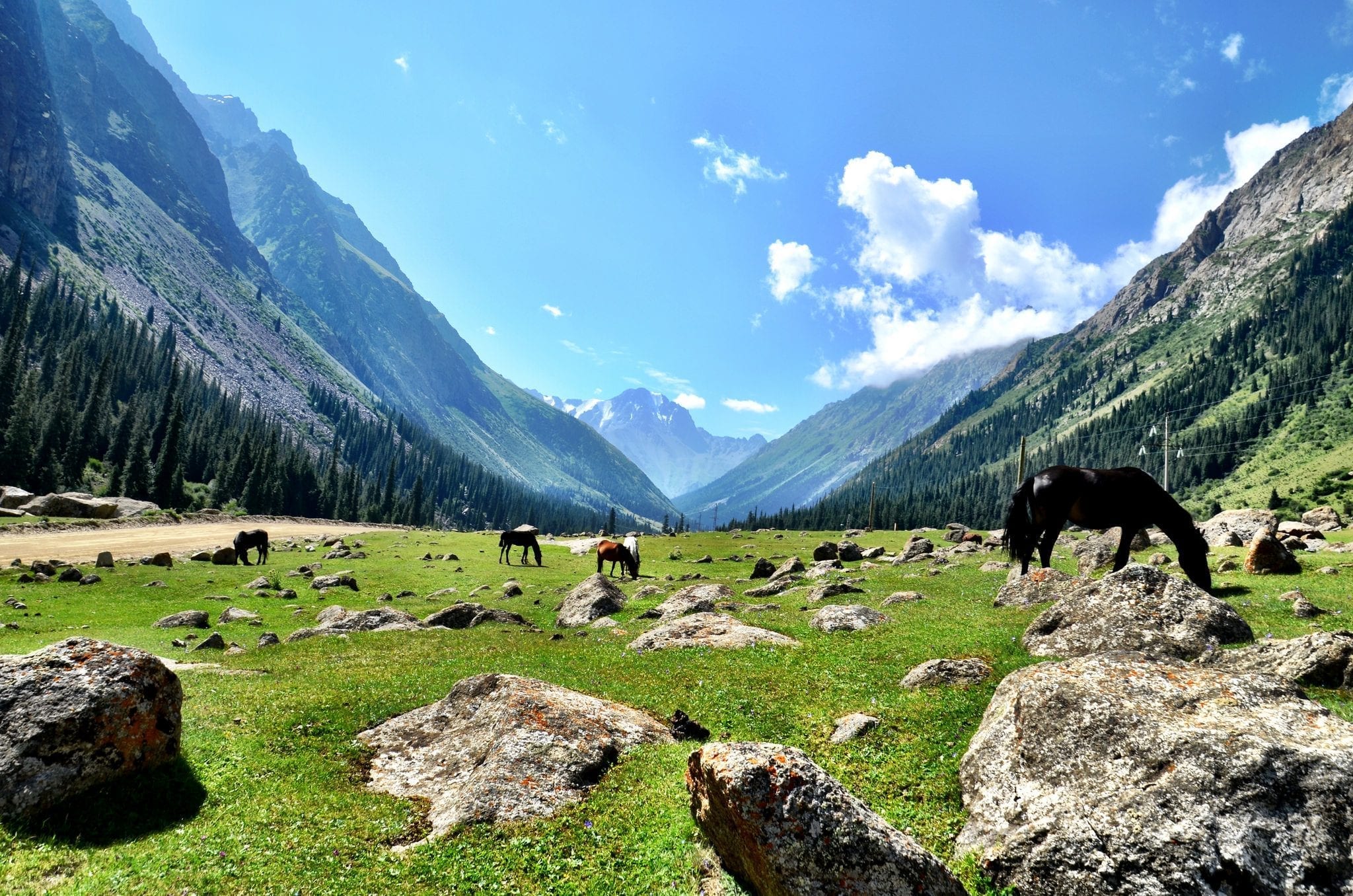 Kyrgyzstan Tourism What To Know About Traveling To Kyrgyzstan